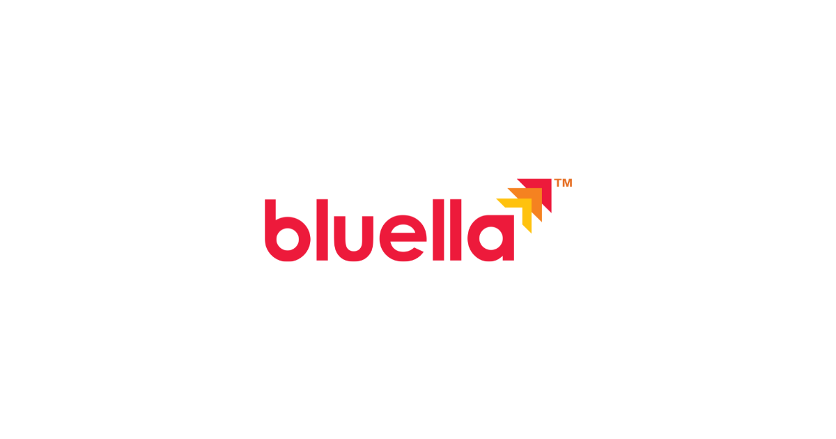 Bluella - Cloud DNS, Web Services & Hosting Company